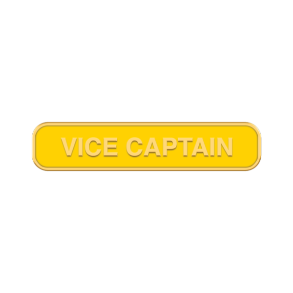 Vice Captain - ML Badges