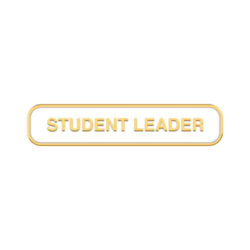 Student Leader - ML Badges